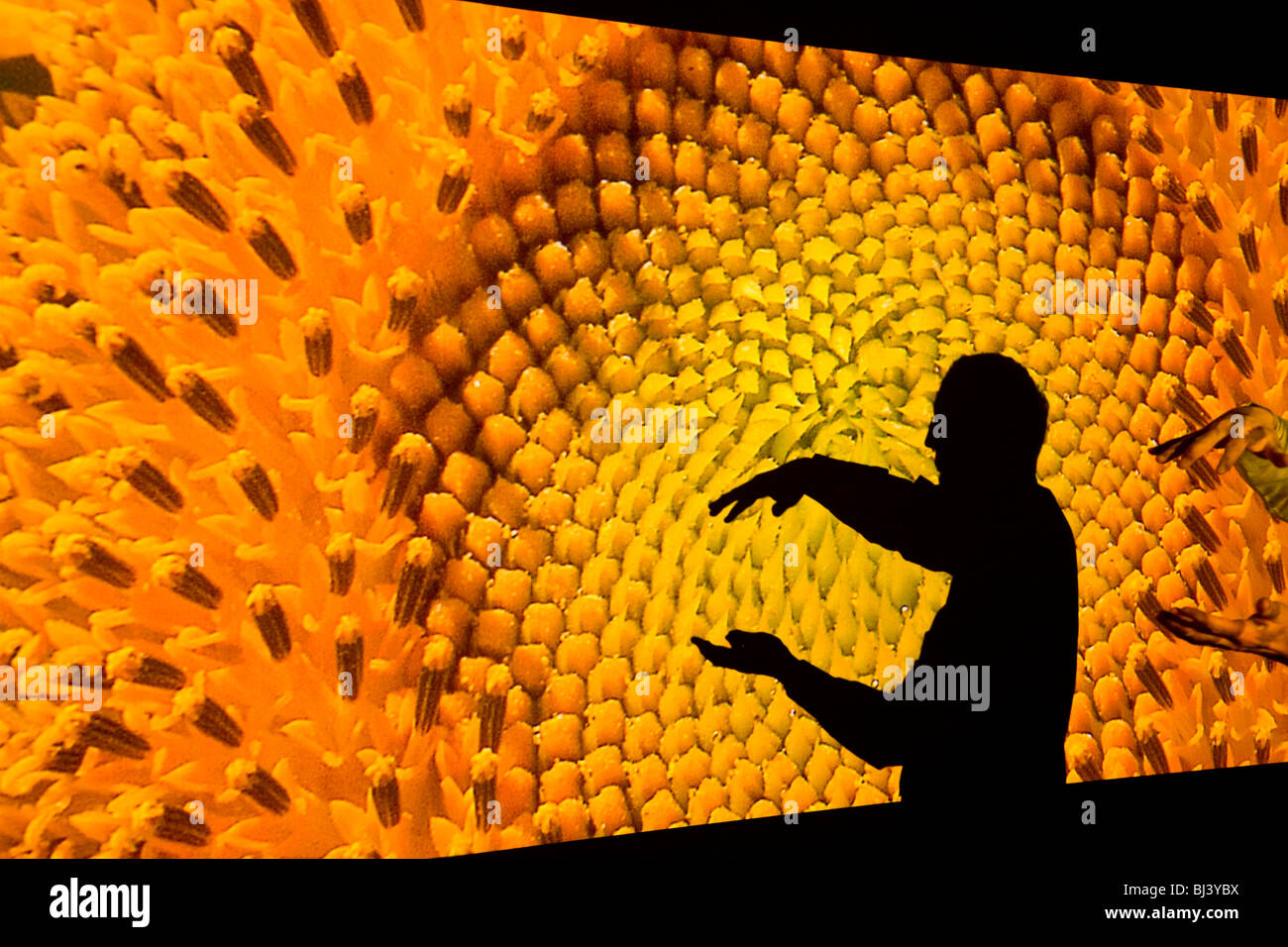 Large Screen Projection High Resolution Stock Photography and Images ...