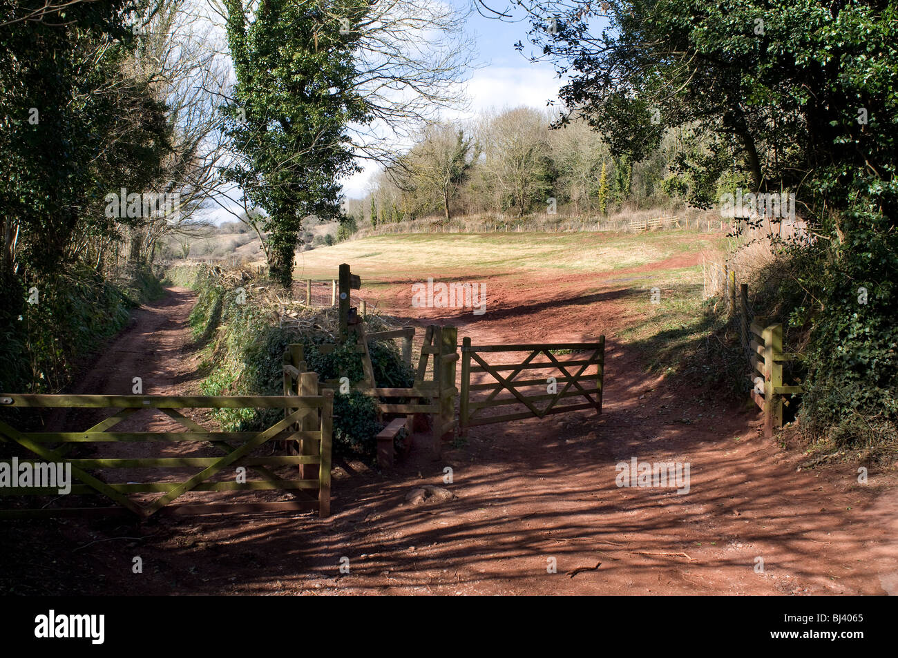 Footpath,stile and Devon lane Stock Photo - Alamy
