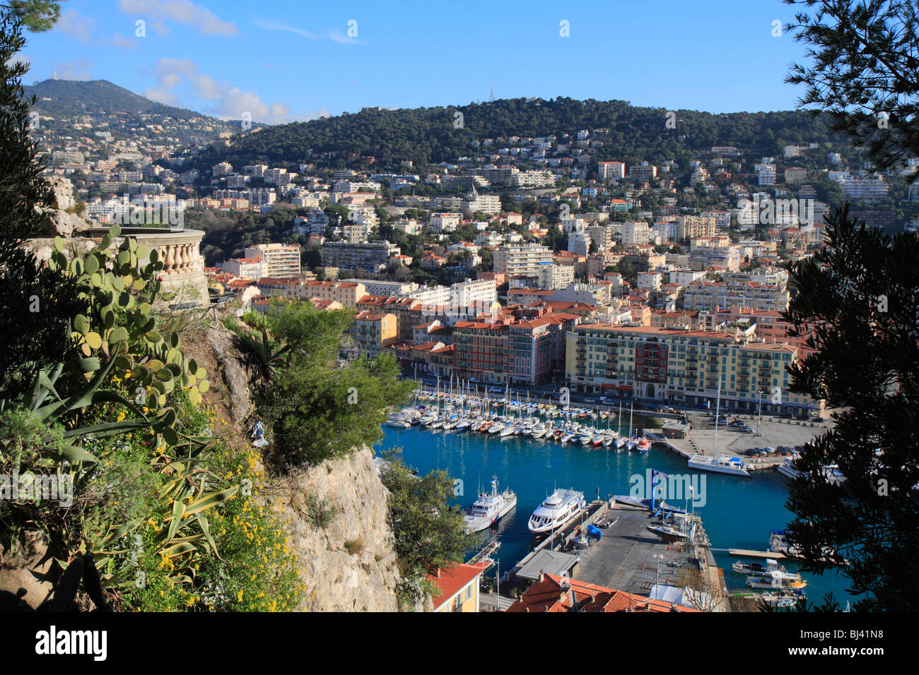 Port, seen from the castle hill, Nice, Alpes Maritimes, Région Provence ...