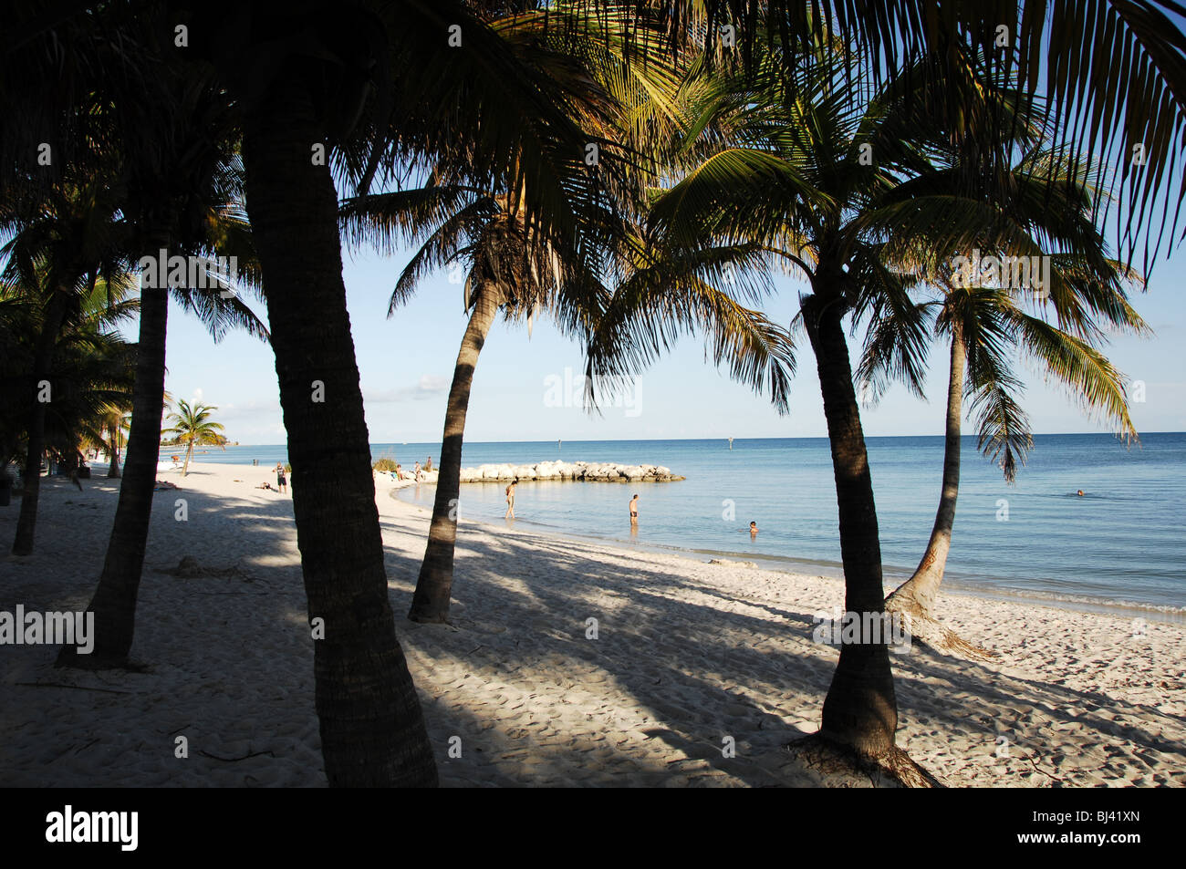 Beach Key West, Florida, United States Stock Photo - Alamy