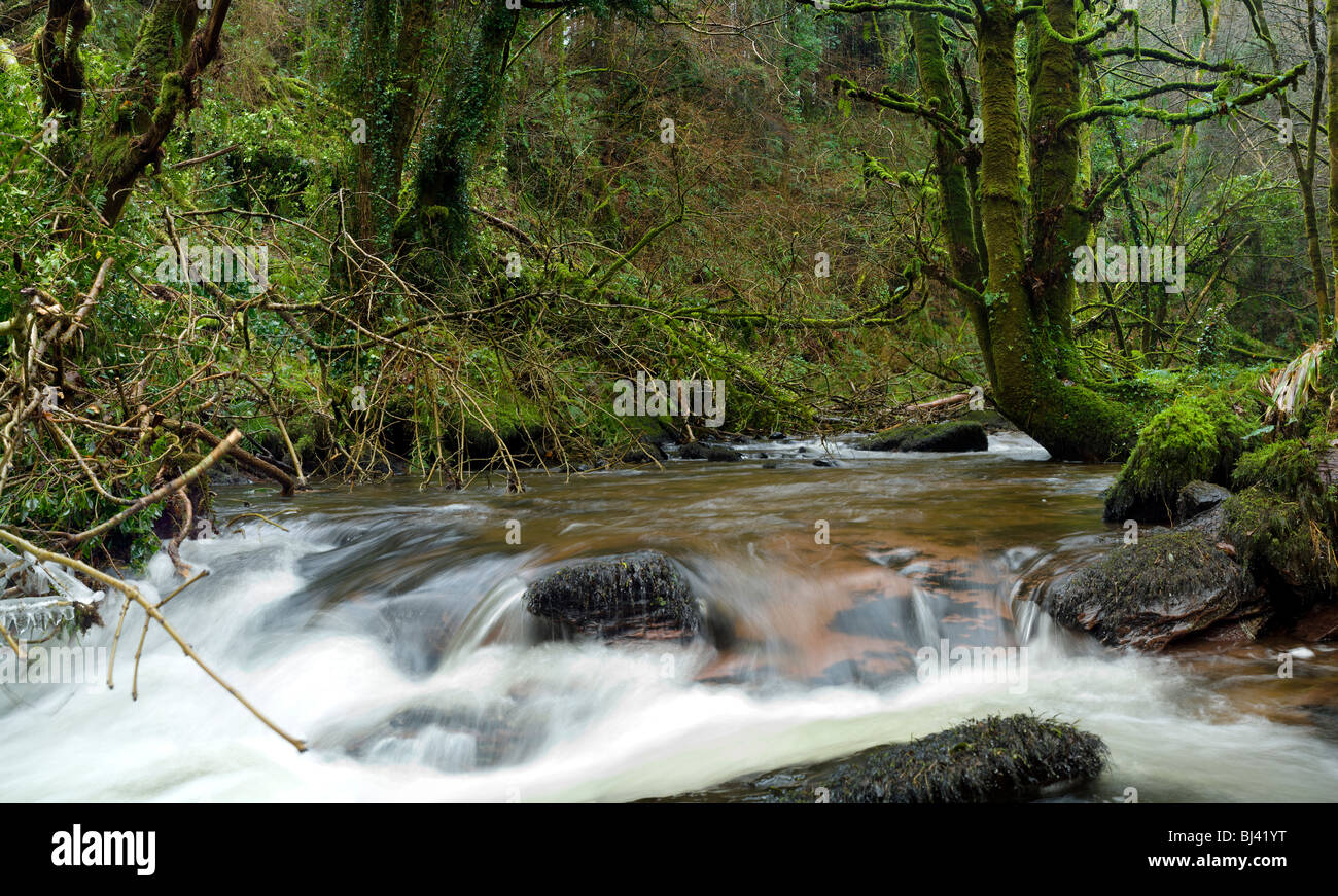 Stream in ireland hi-res stock photography and images - Alamy