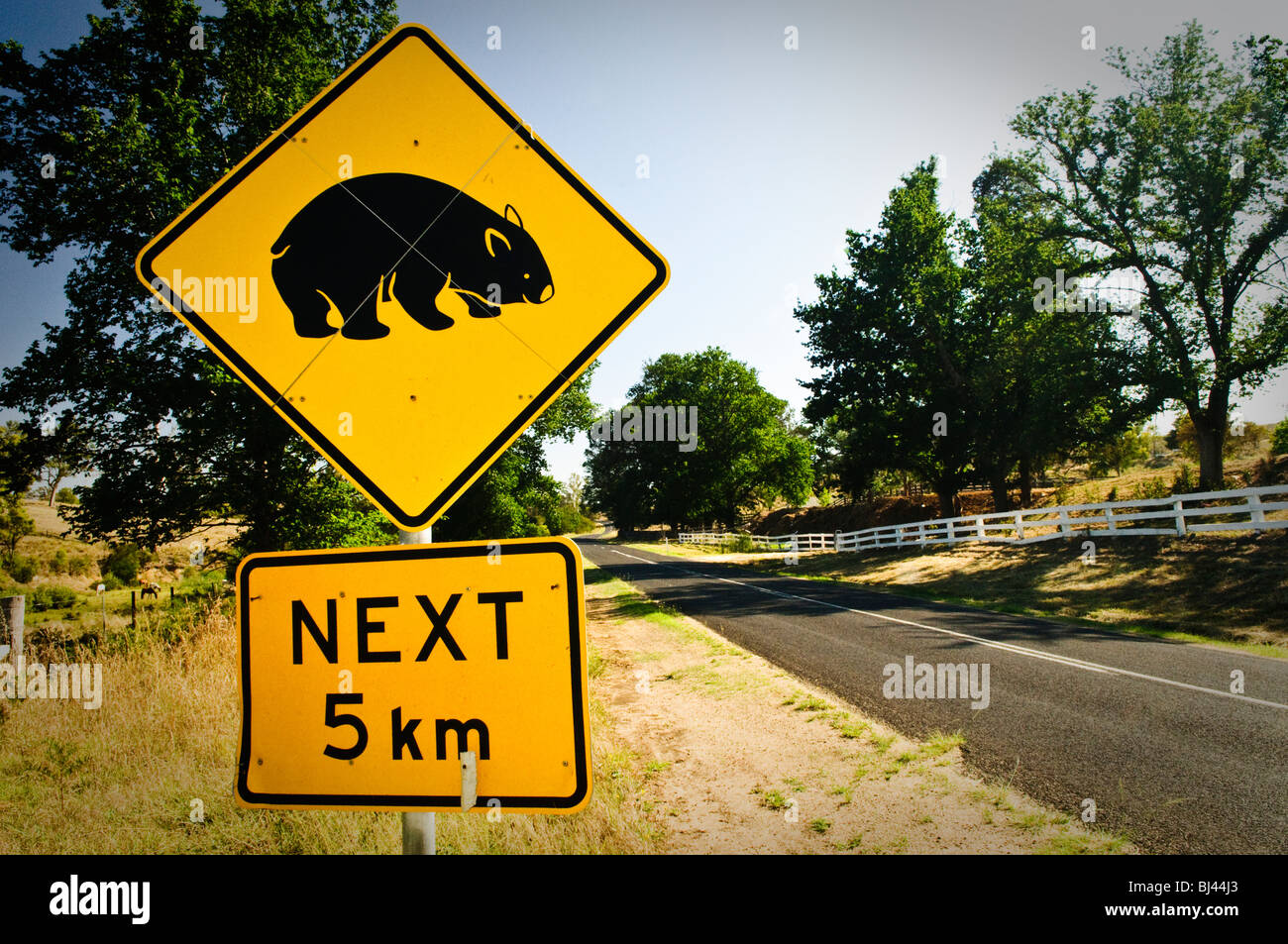Australian Warning Road Sign Outback High Resolution Stock Photography ...
