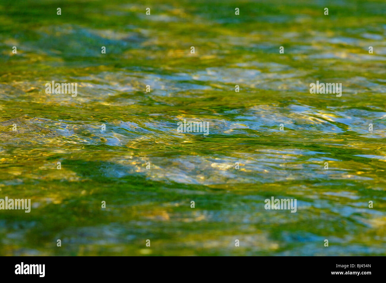 Environment green rivers and waters hi-res stock photography and images ...