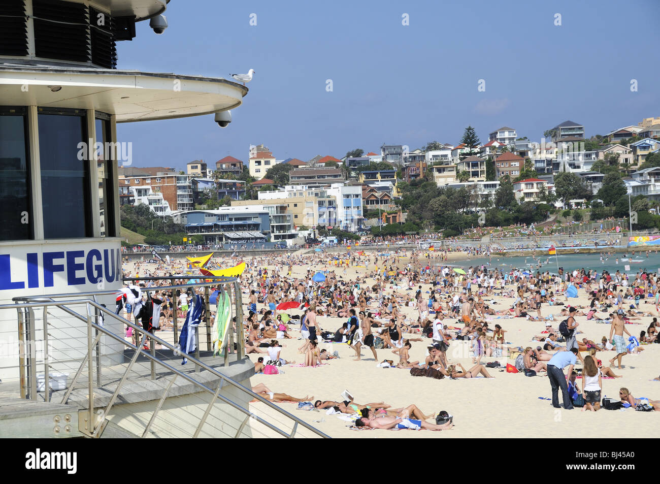 Bondi beach swimmers australia hi-res stock photography and images - Alamy