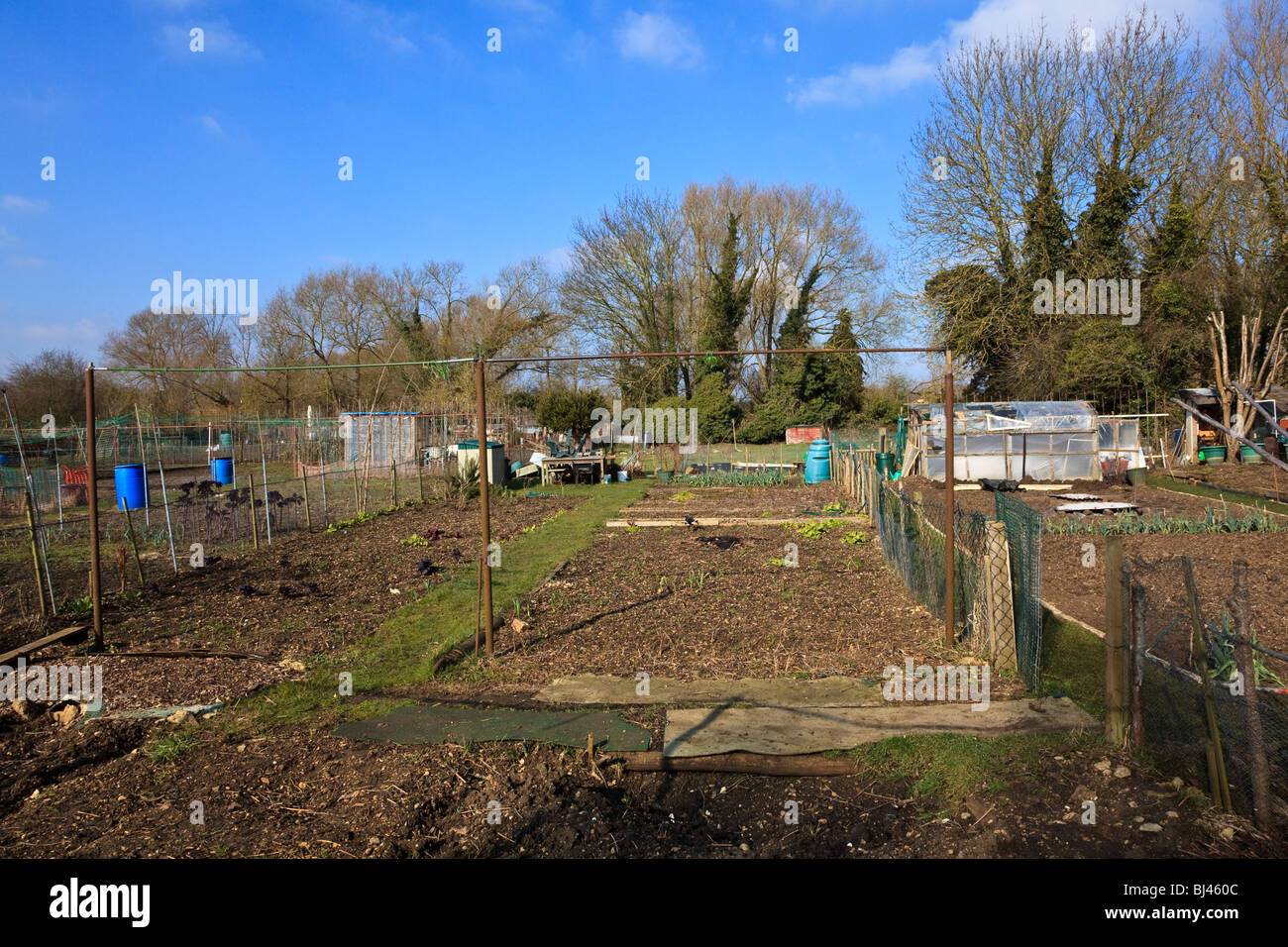 Attractive tidy allotments in village hi-res stock photography and ...