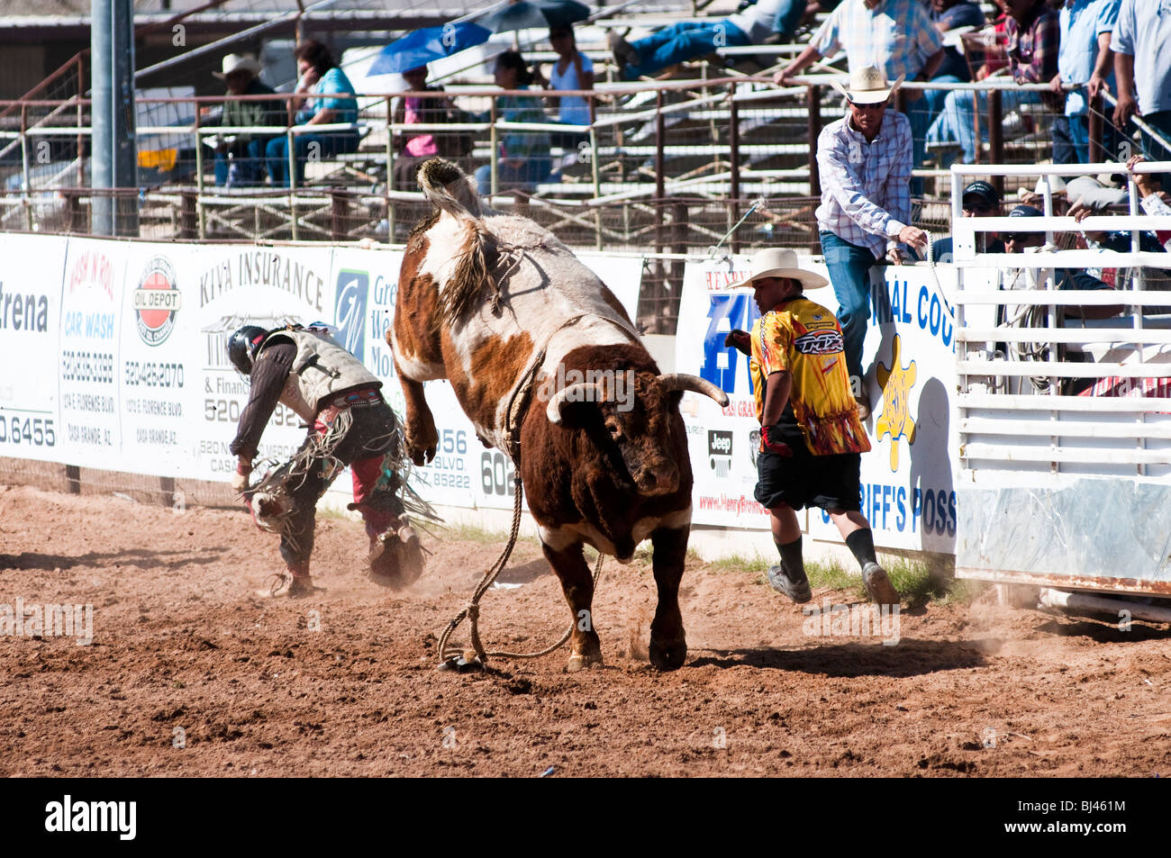 a cowboy competes in the bull riding event during the O'Odham Tash all ...