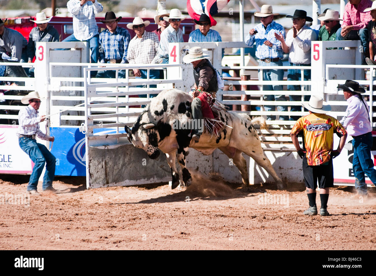 a cowboy competes in the bull riding event during the O'Odham Tash all ...