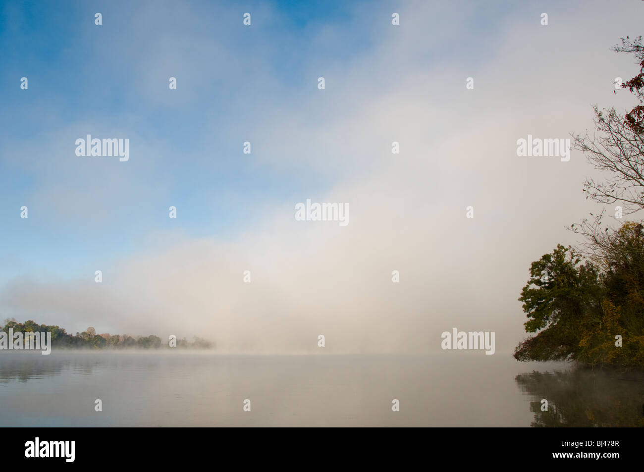 Wheeler National Wildlife Refuge, Decatur, Alabama, USA Stock Photo - Alamy
