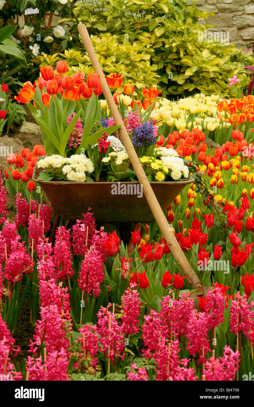 Botanik designs hi-res stock photography and images - Alamy