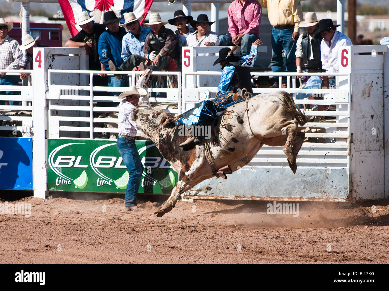 a cowboy competes in the bull riding event during the O'Odham Tash all ...