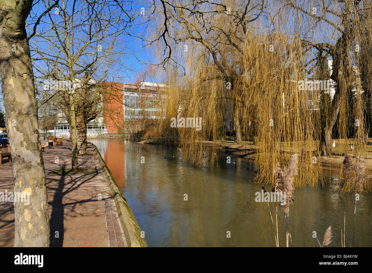 River Wey navigation,Guildford Stock Photo - Alamy