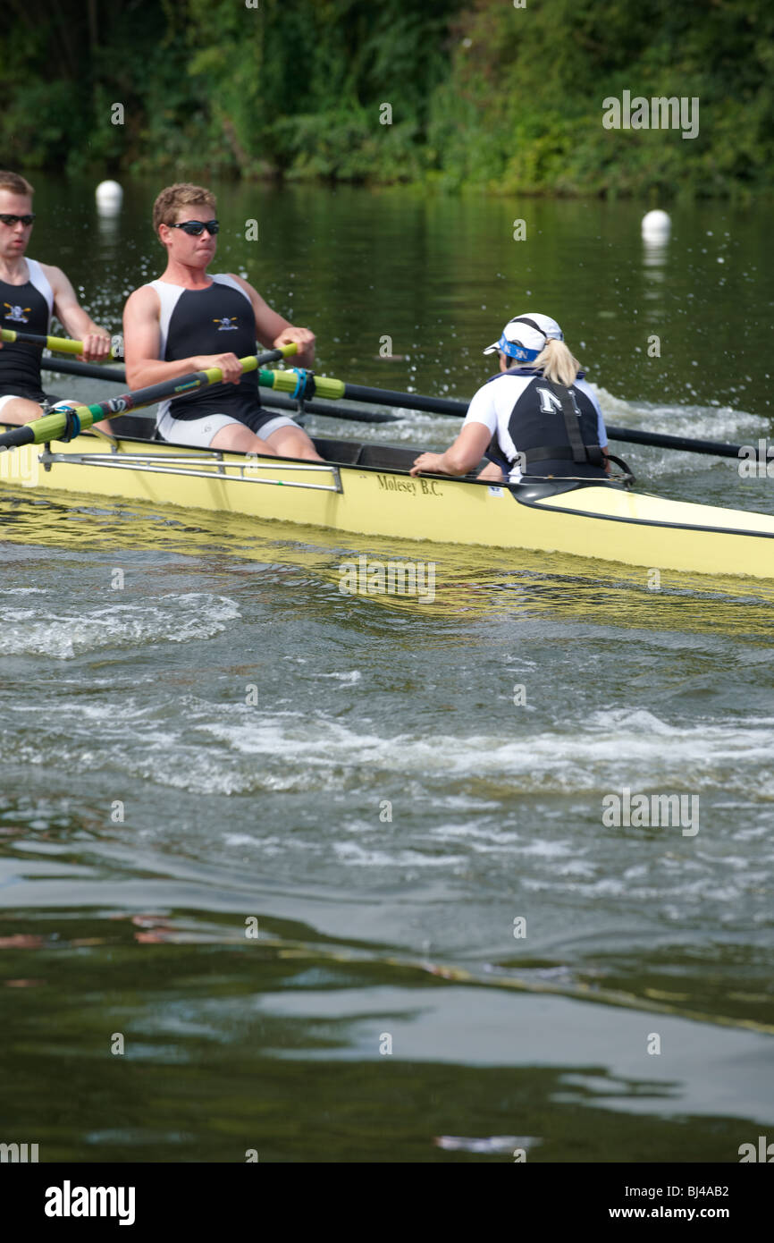 Boat crew rowing at the Henley Regatta Stock Photo - Alamy