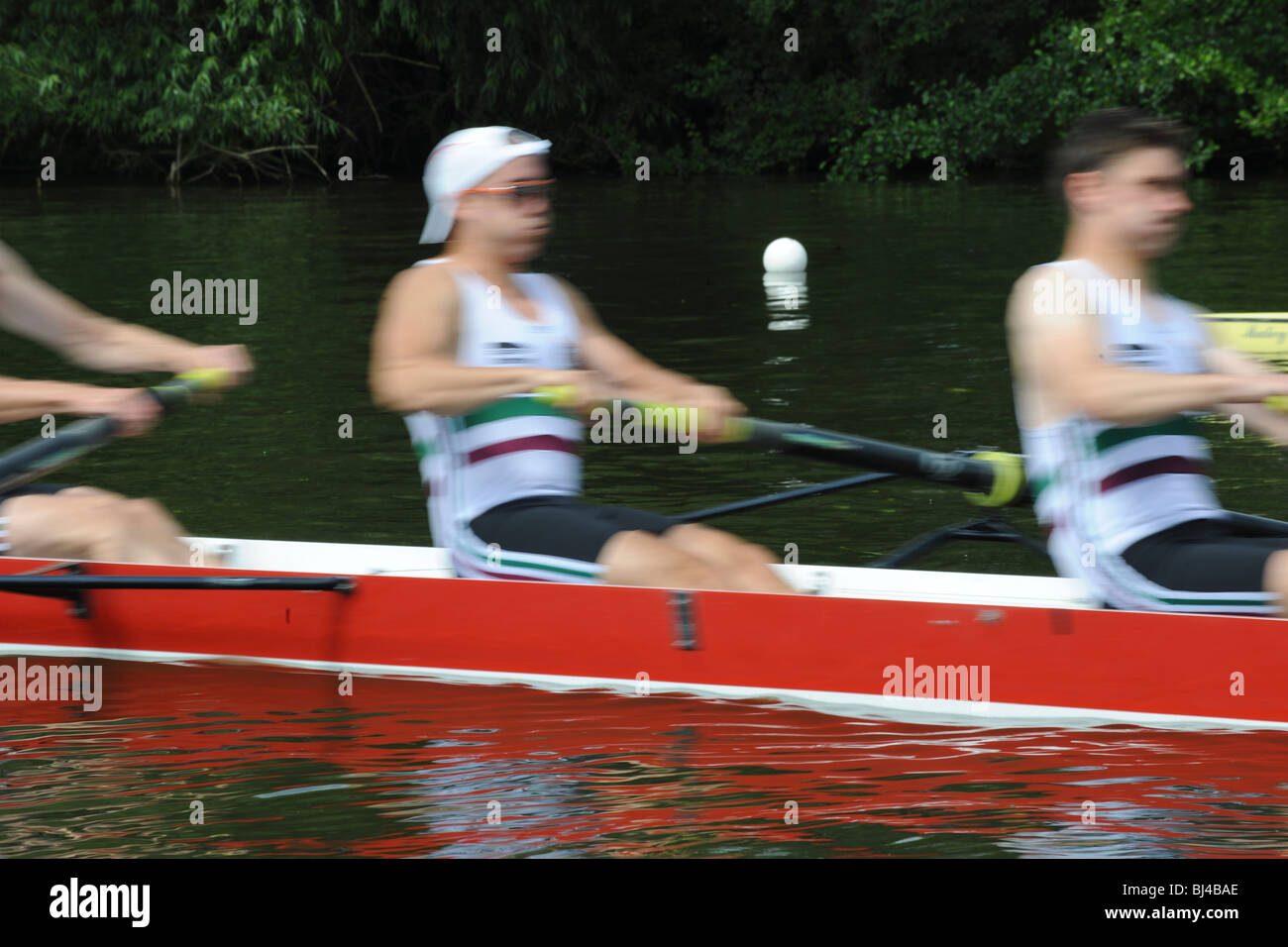 Boat crew rowing at the Henley Regatta Stock Photo - Alamy