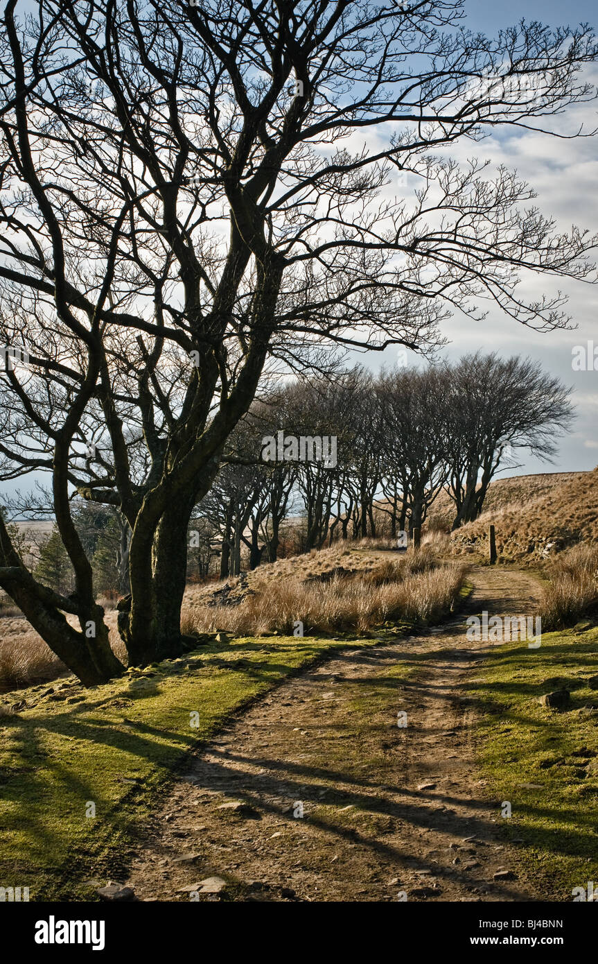Wheelton hi-res stock photography and images - Alamy