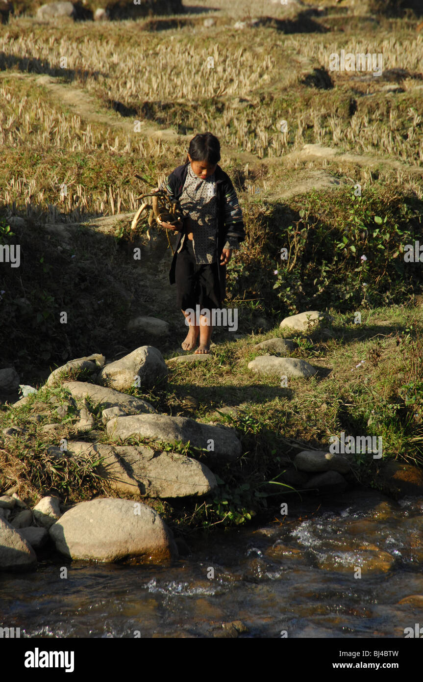 young black hmong boy collecting twigs and wood , ta phin , near sapa ...