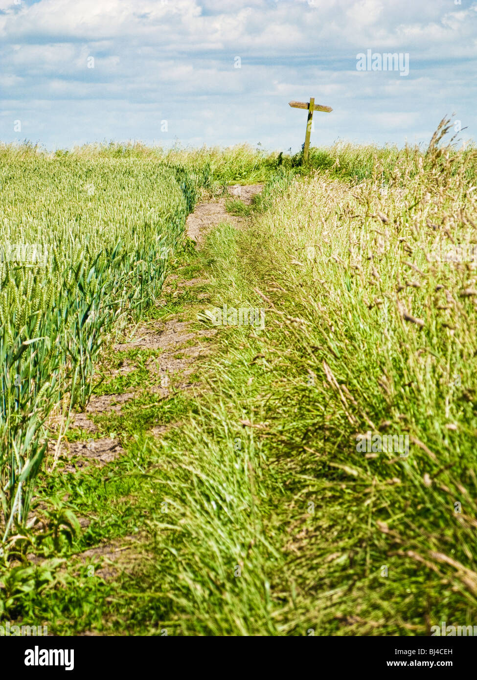 Wooden path sign hi-res stock photography and images - Alamy
