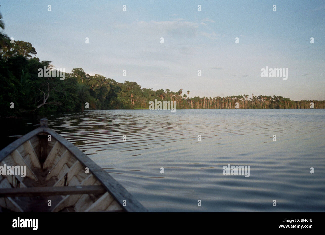Amazon river in Peru Stock Photo - Alamy