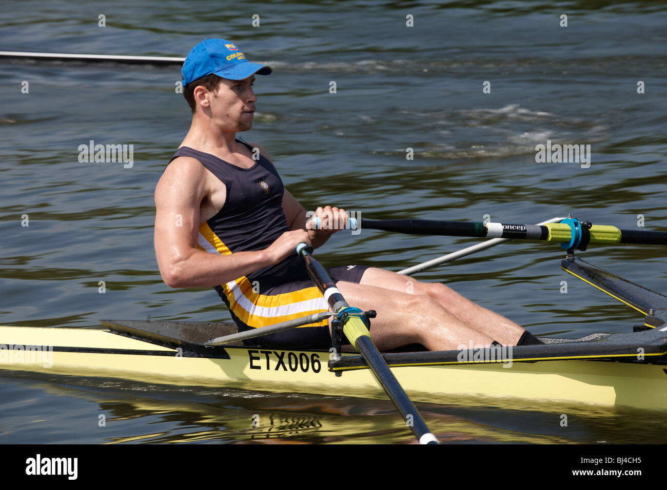 single sculls race at Henley Regatta Stock Photo - Alamy