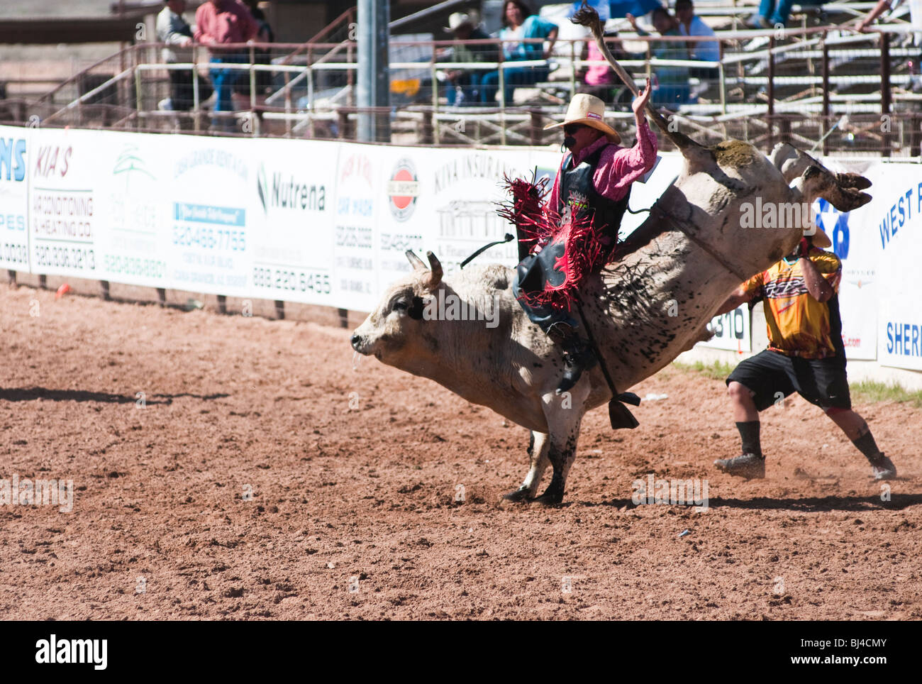 Bull riding in an arizona rodeo hi-res stock photography and images - Alamy