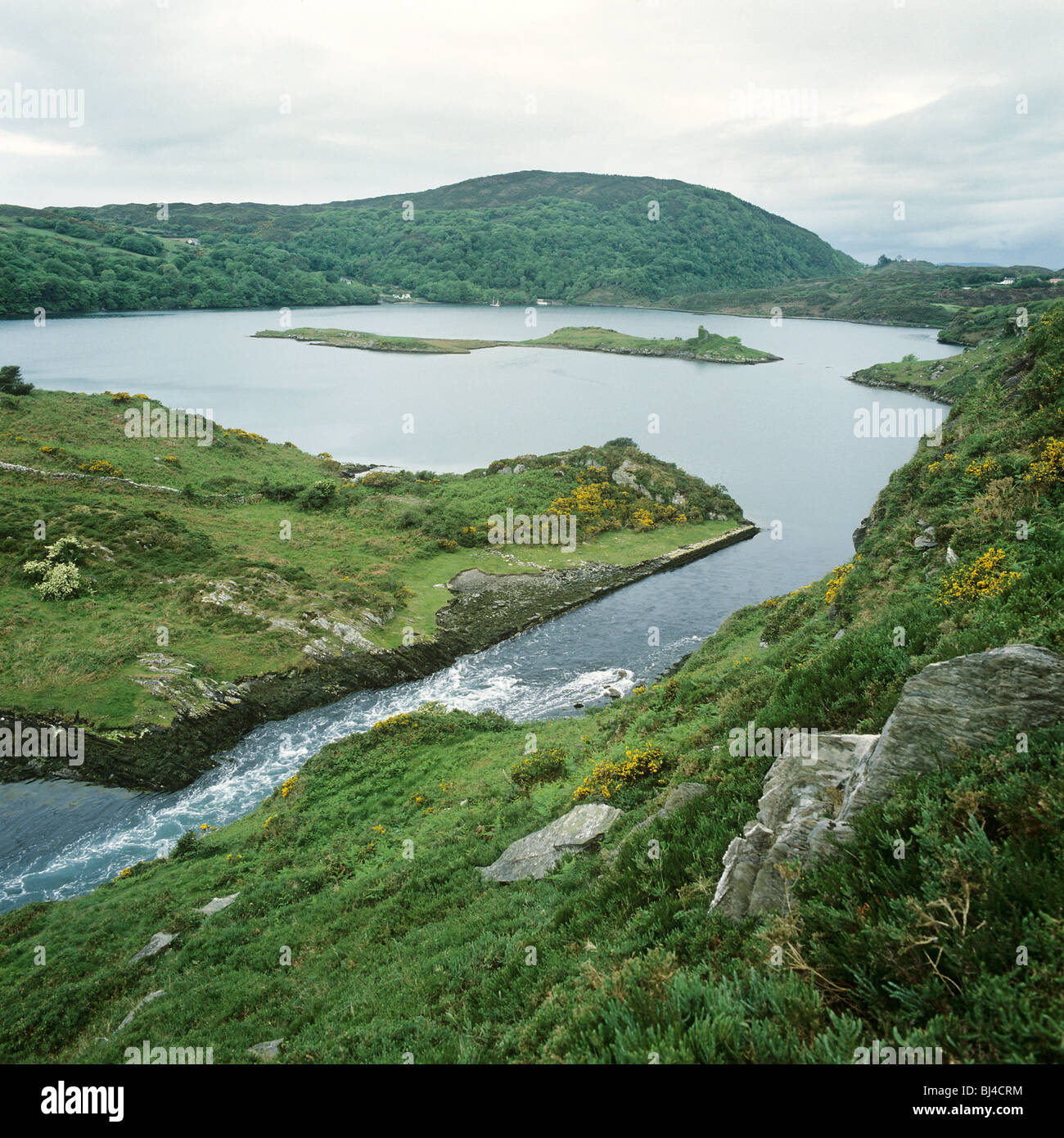 Lough Ine, County Cork, Eire, is a tidal lough. Water is racing out to ...