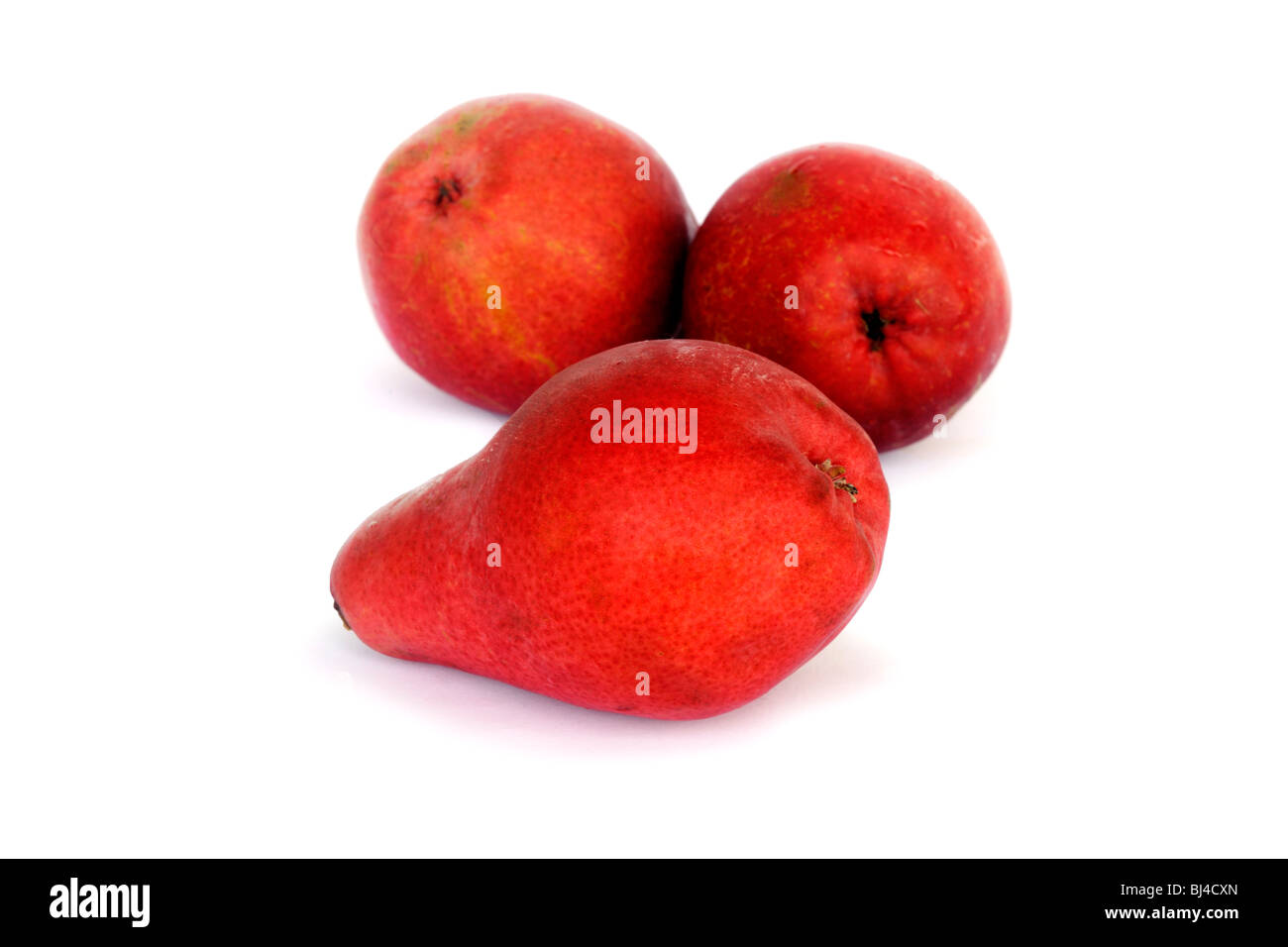 Pear tree species Cut Out Stock Images & Pictures - Alamy