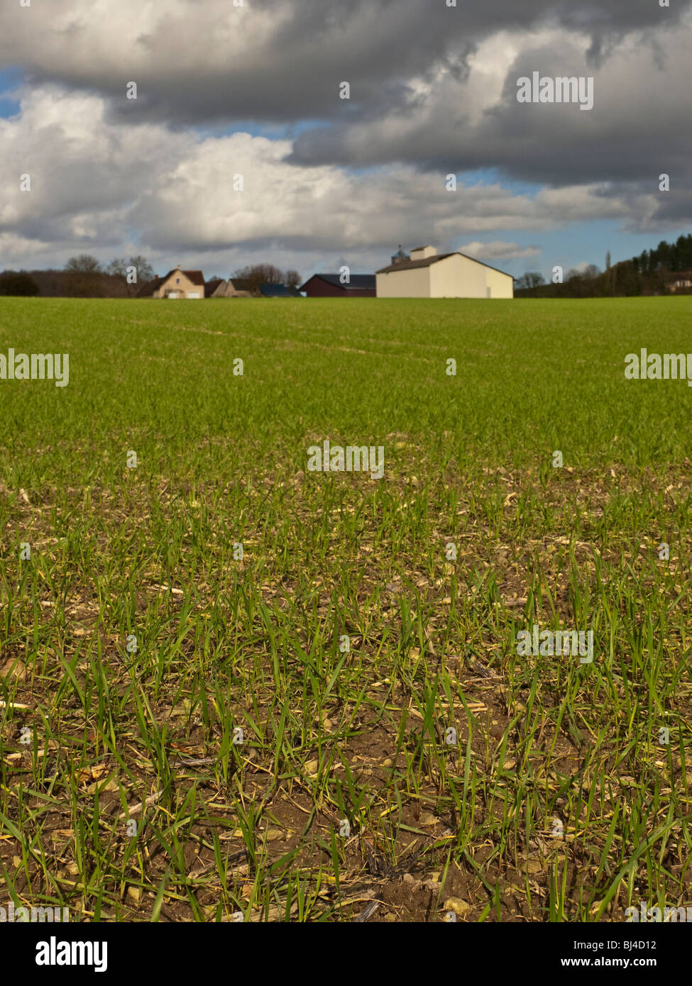 Farmland - sud-Touraine France Stock Photo - Alamy