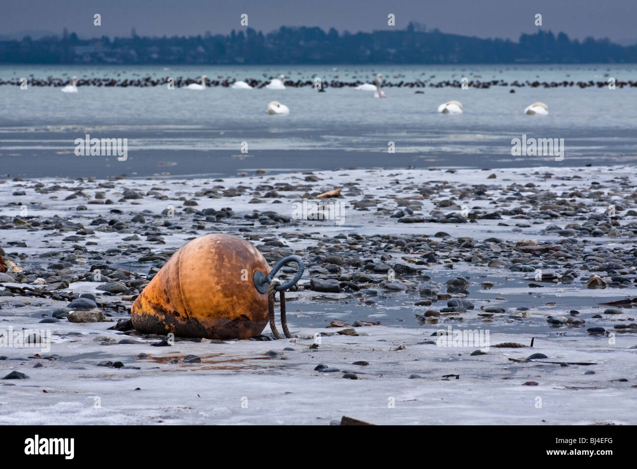 Frozen shore at Horn on the Untersee lake, buoy, Reichenau island on ...