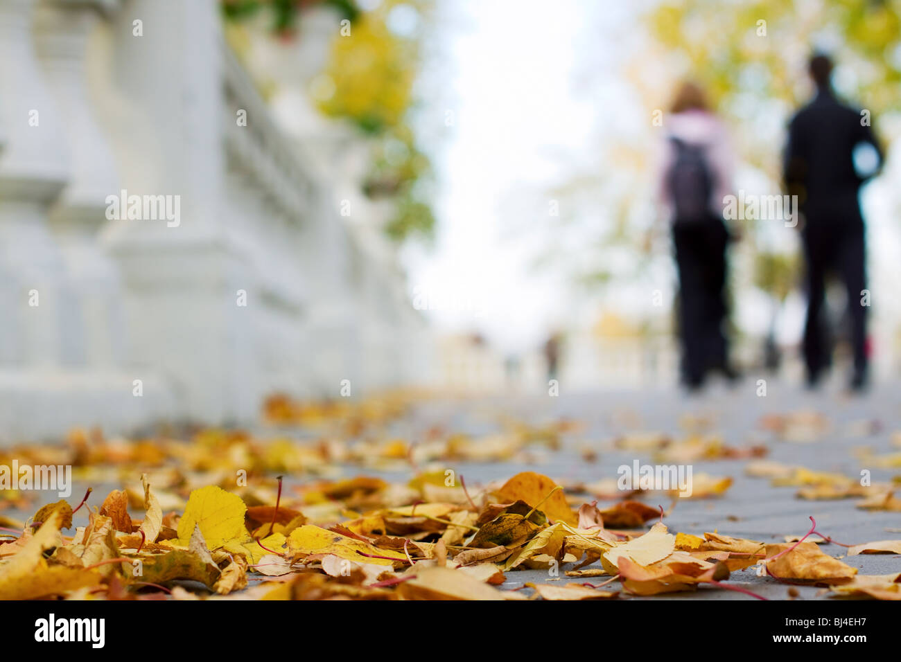 Autumn in the city park Stock Photo - Alamy