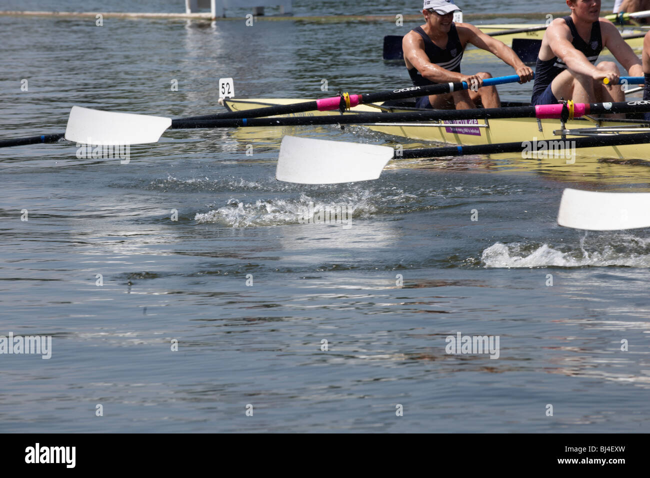 Boat crew rowing at the henley Regatta Stock Photo - Alamy