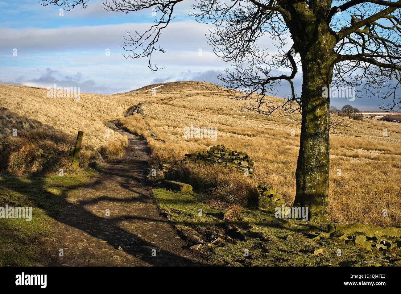 Wheelton Moor and Great Hill, near Brinscall, Chorley, Lancashire Stock ...