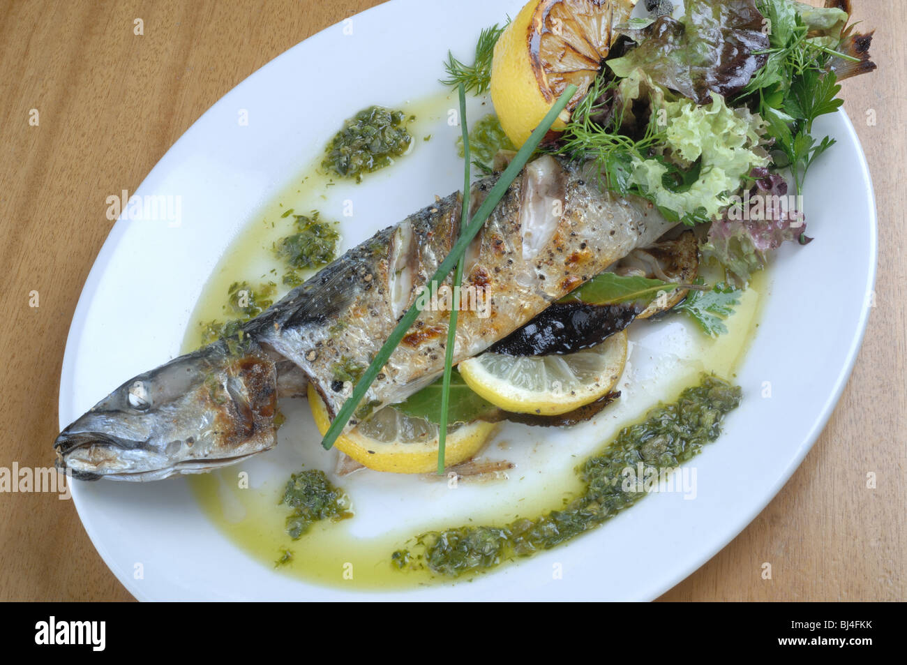 Mackerel - John Gollop Stock Photo - Alamy