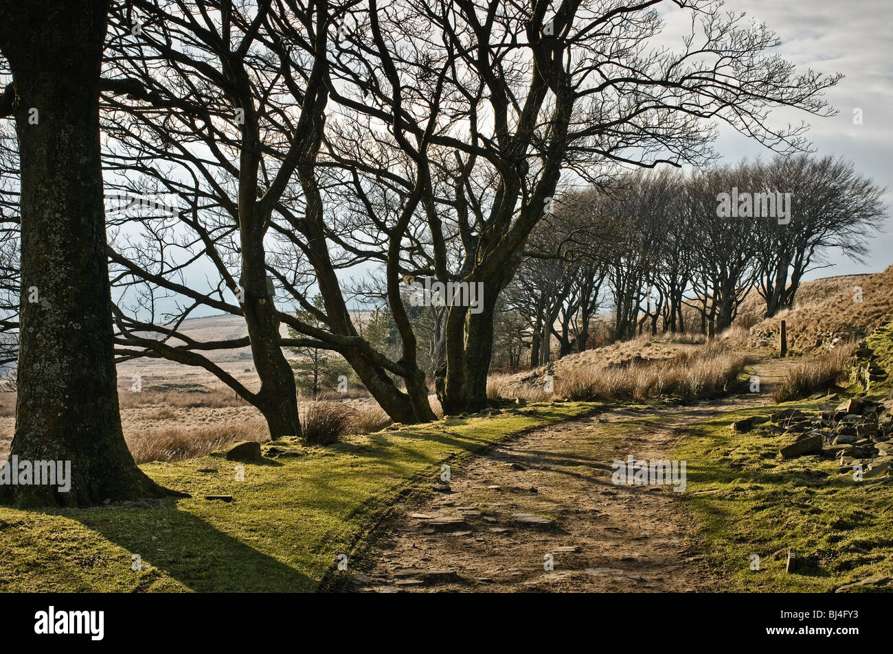 Wheelton hi-res stock photography and images - Alamy