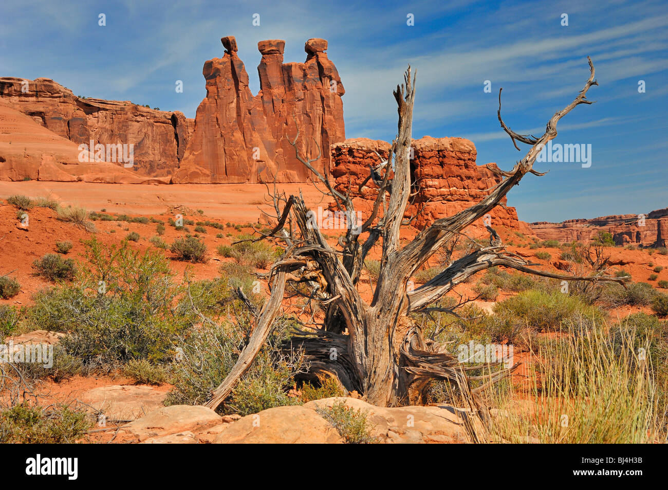 The rock formation known as The Three Gossips at The Arches National ...