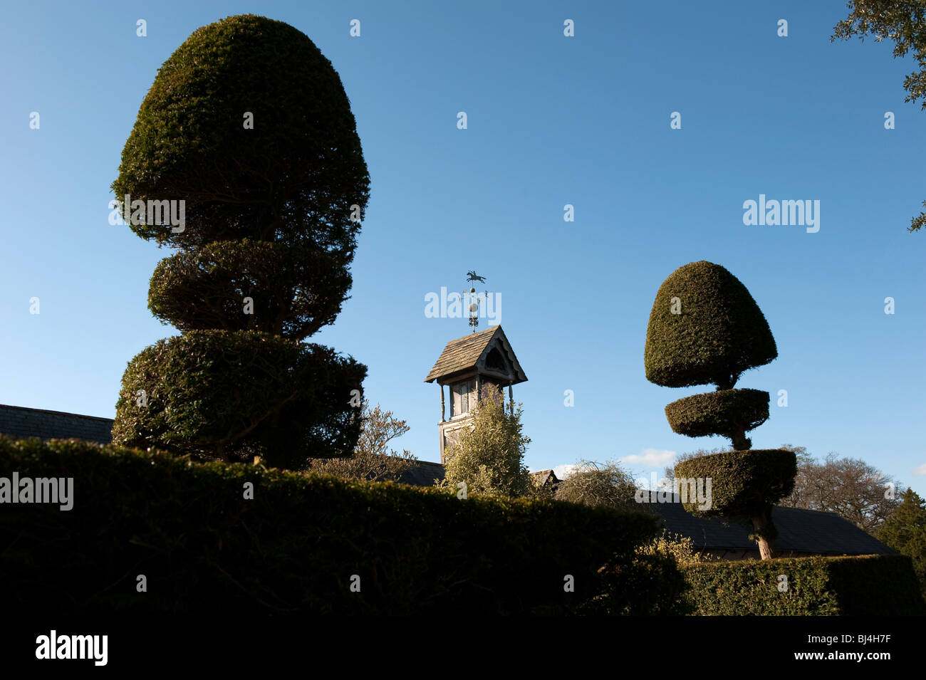 Ornamental topiary hi-res stock photography and images - Alamy