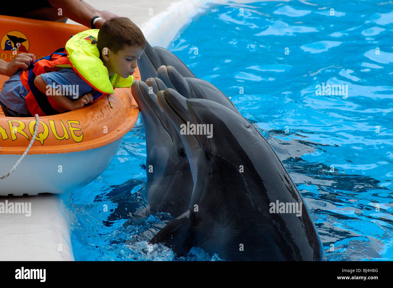 Spain, Canary Islands, Tenerife Puerto de la Cruz, Loro Parque, dolphin ...