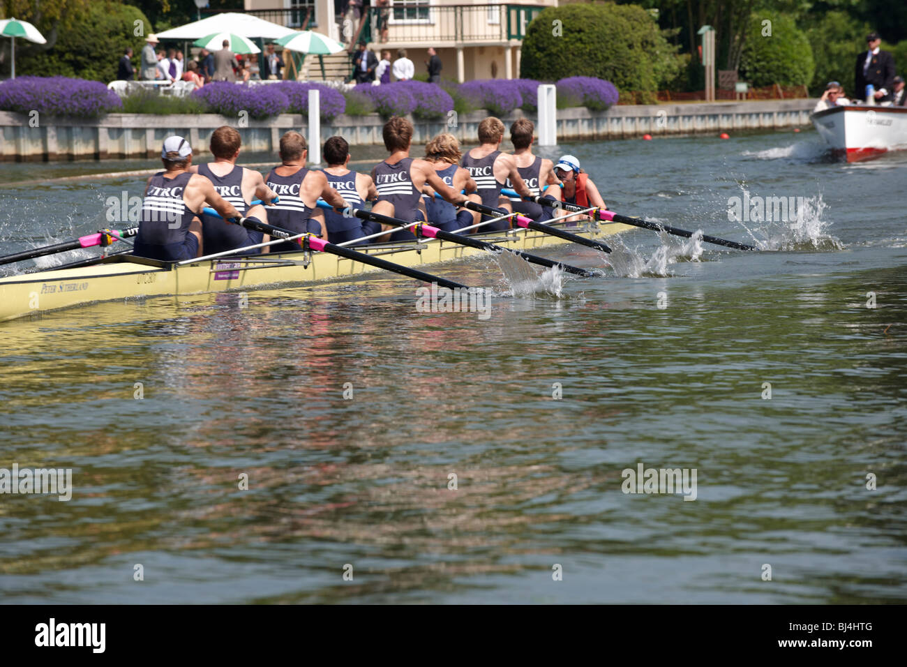 Boat crew rowing at the Henley Regatta Stock Photo - Alamy