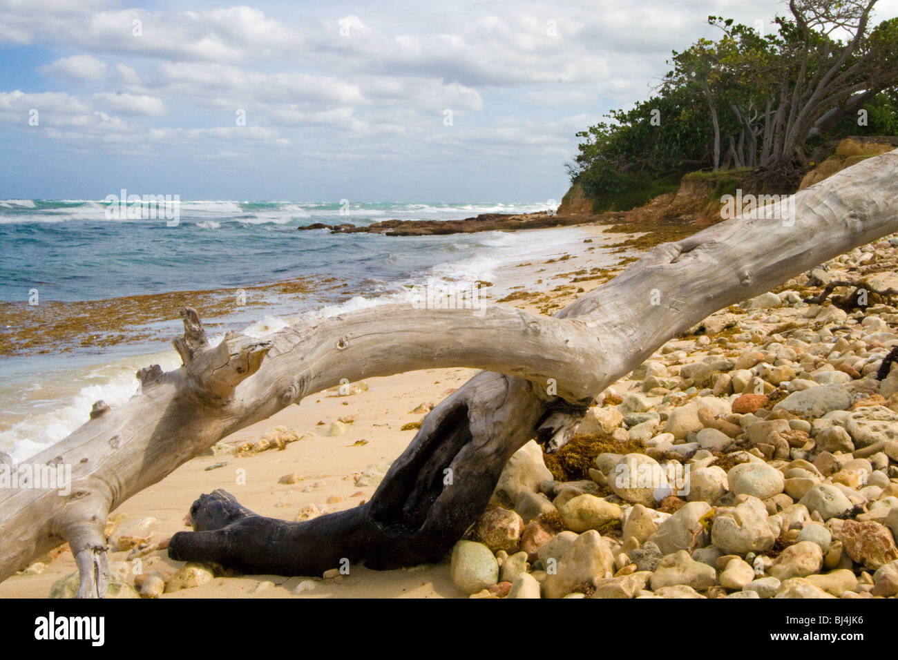 Jibacoa beach,‎ Cuba Stock Photo - Alamy