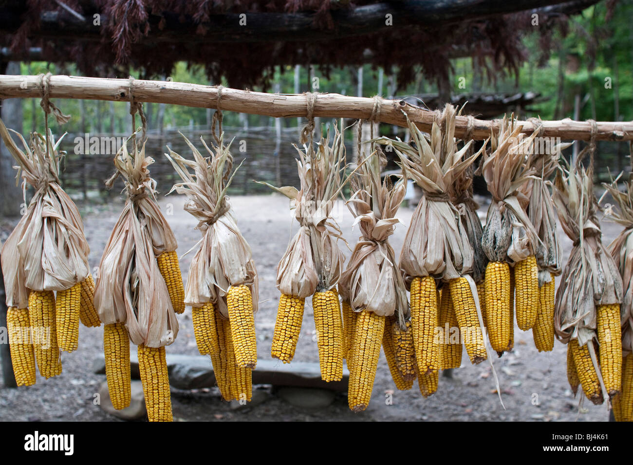 Monacan indian tribe hi-res stock photography and images - Alamy