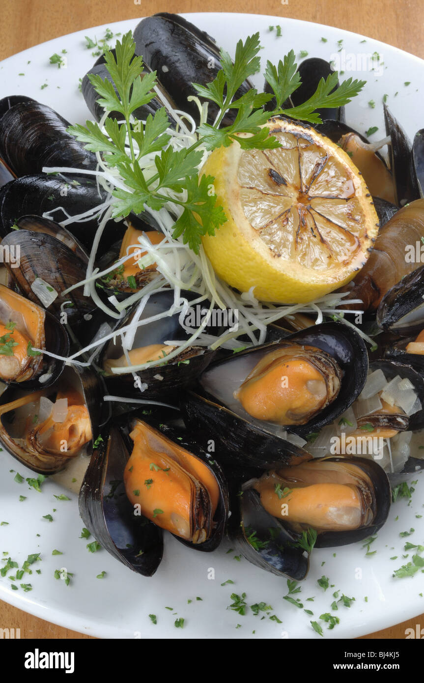 Mussels - John Gollop Stock Photo - Alamy