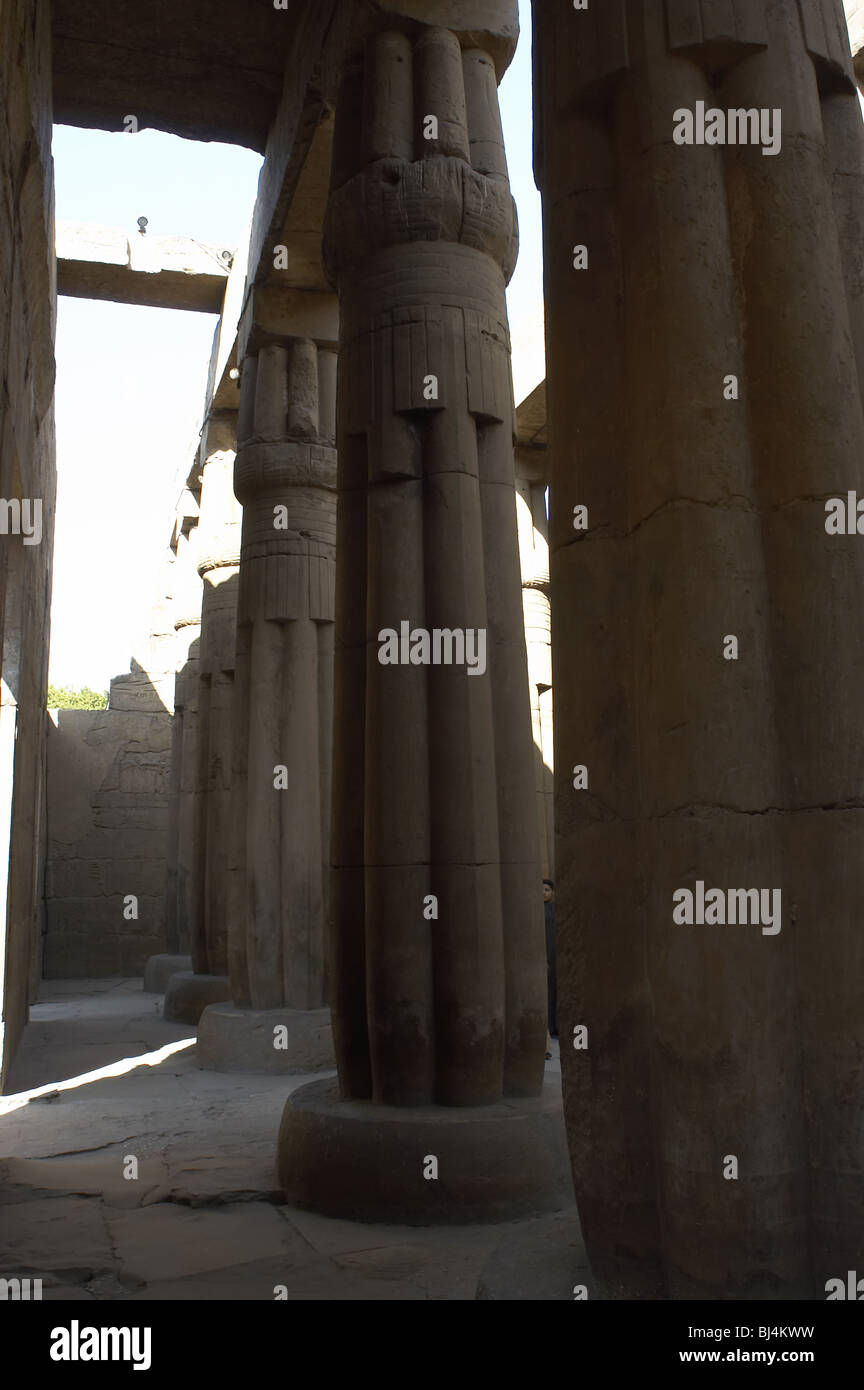 EGYPT. Papyrus column. Offerings room. Temple of Luxor. New Empire ...