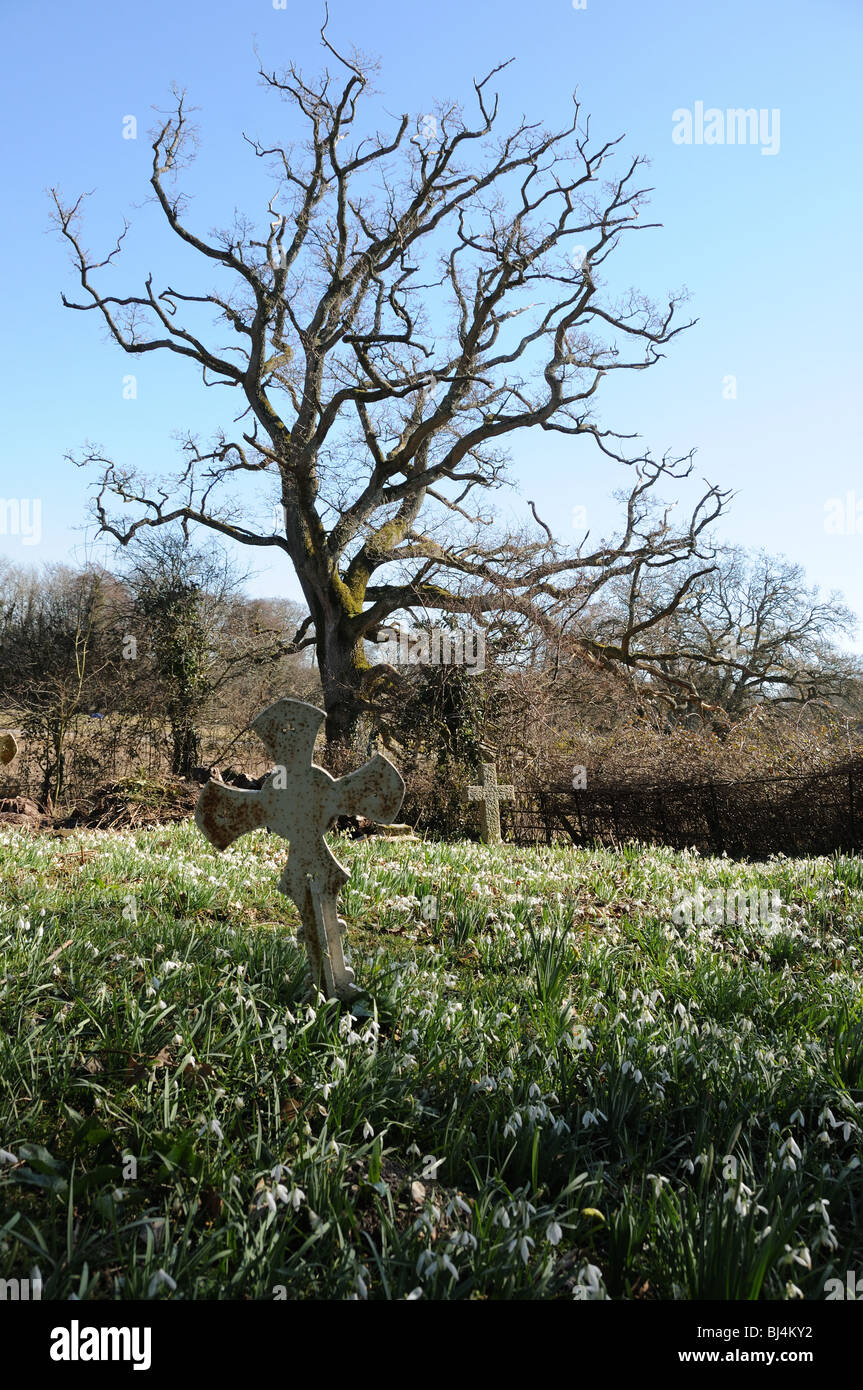 Grave yard hi-res stock photography and images - Alamy