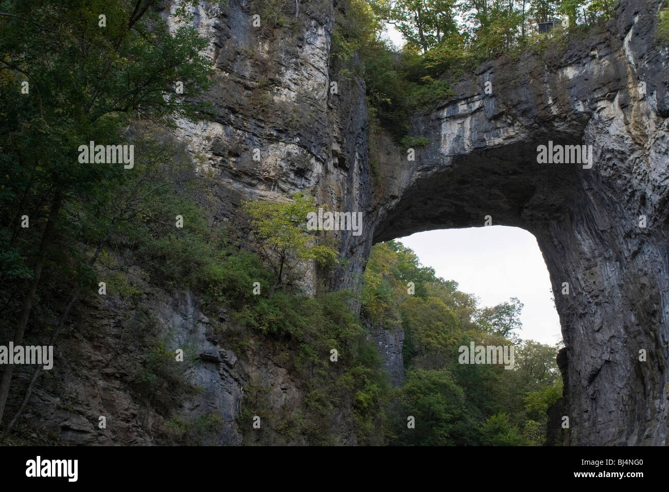 Natural Bridge Virginia State Park North America Appalachia contryside ...