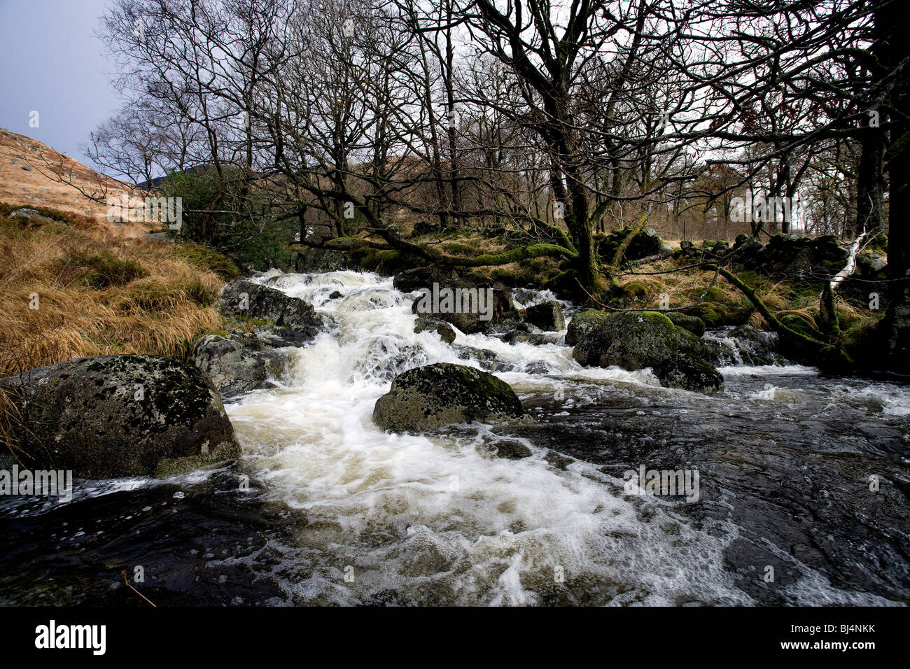 Waterfall flowing into Loch Trool, Glen Trool, Dumfries and Galloway ...
