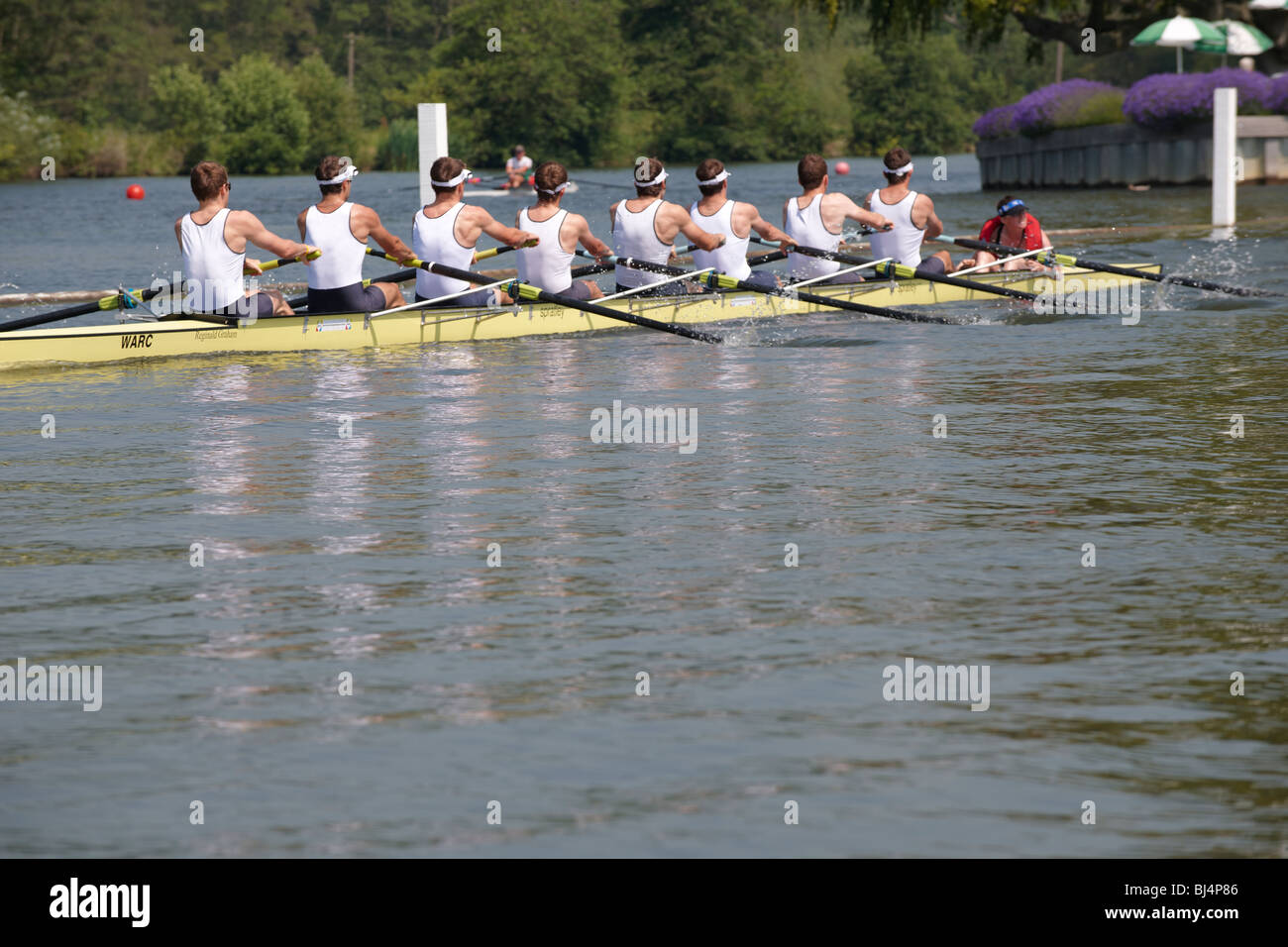 Rowing 8 race hi-res stock photography and images - Alamy