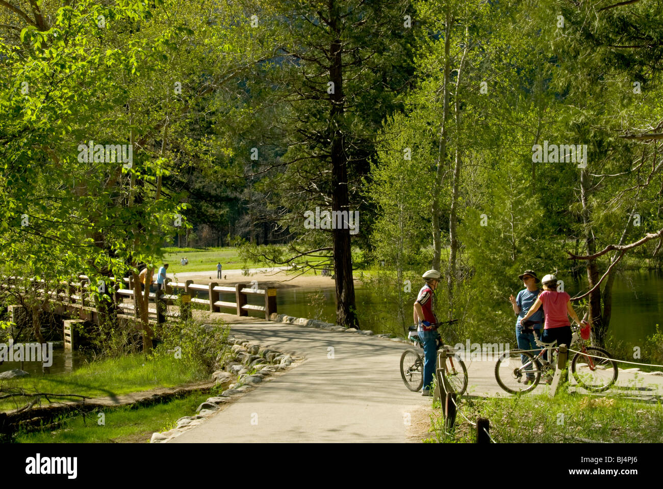 Bike riders at Swinging Bridge, Yosemite National Park, California ...
