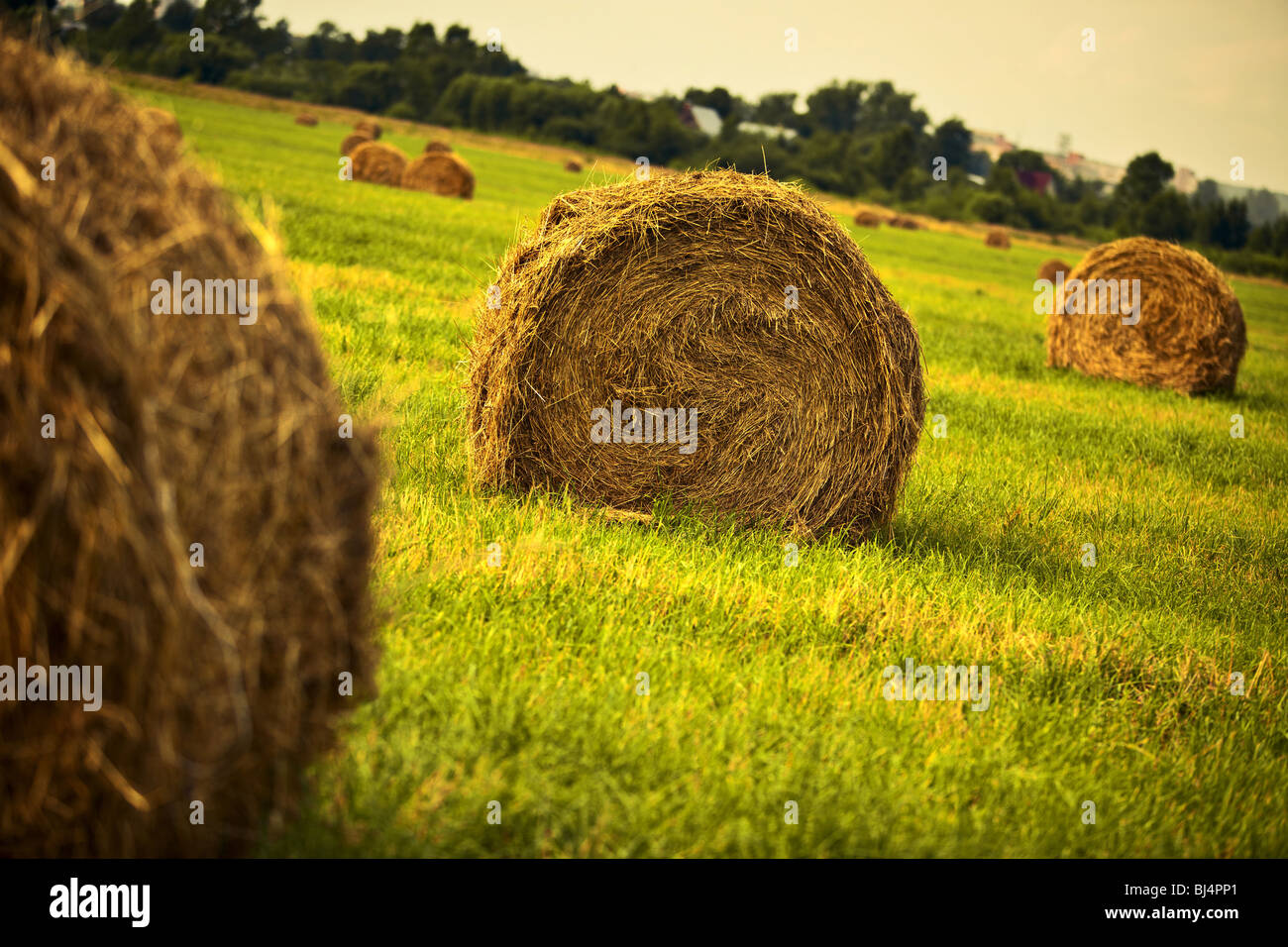Haystack on a field. Vibrant colors Stock Photo - Alamy