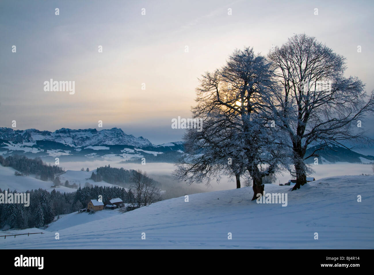 Evening in the Appenzell region with a view on Mt. Saentis, Canton ...