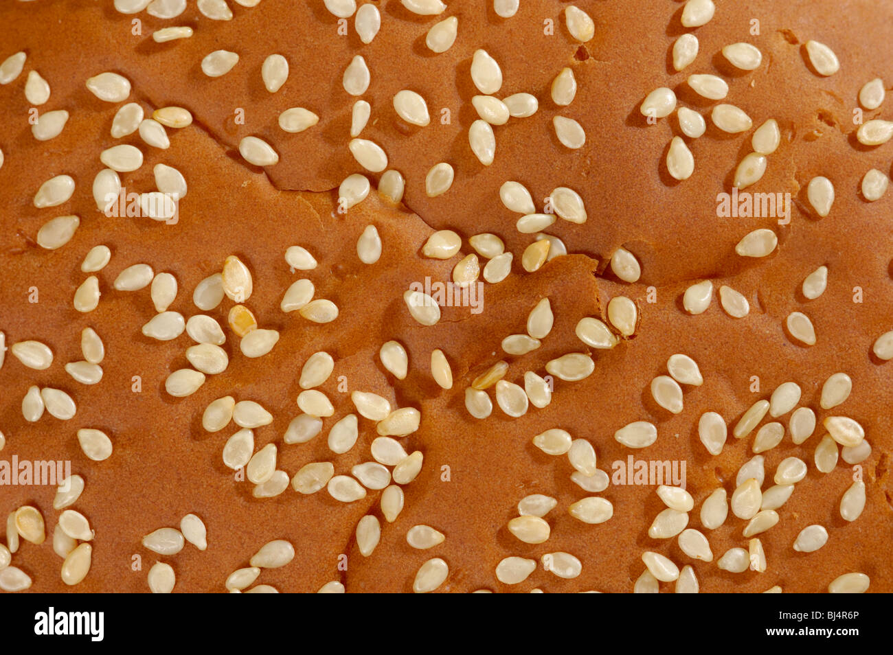 Sesame bun top view macro texture background Stock Photo - Alamy