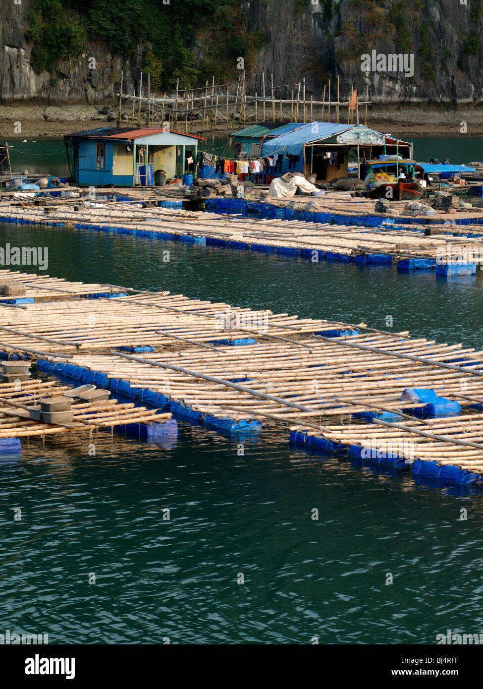 A fish farm in Halong Bay in northern Vietnam Stock Photo - Alamy