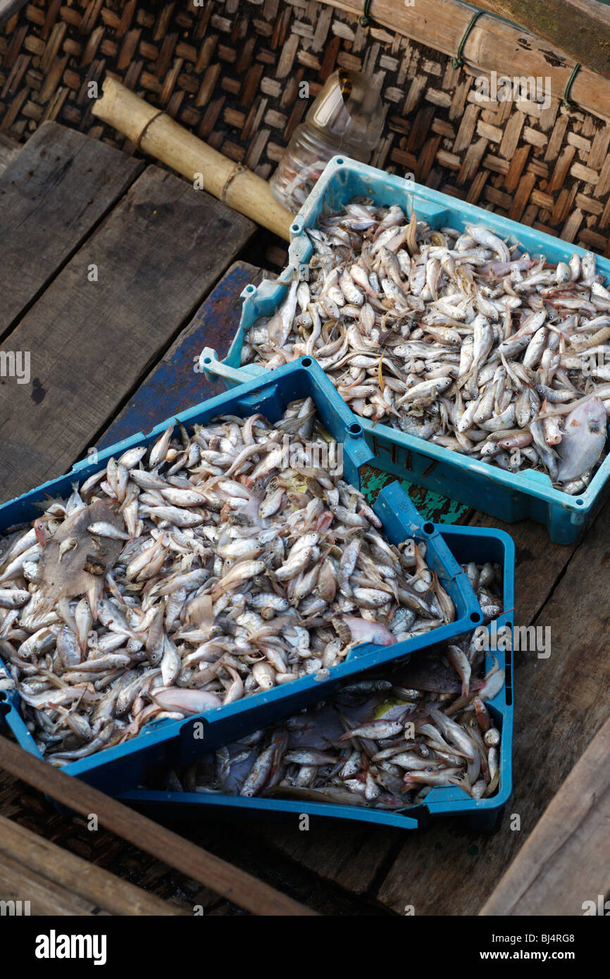 Vietnamese fish farming hi-res stock photography and images - Alamy